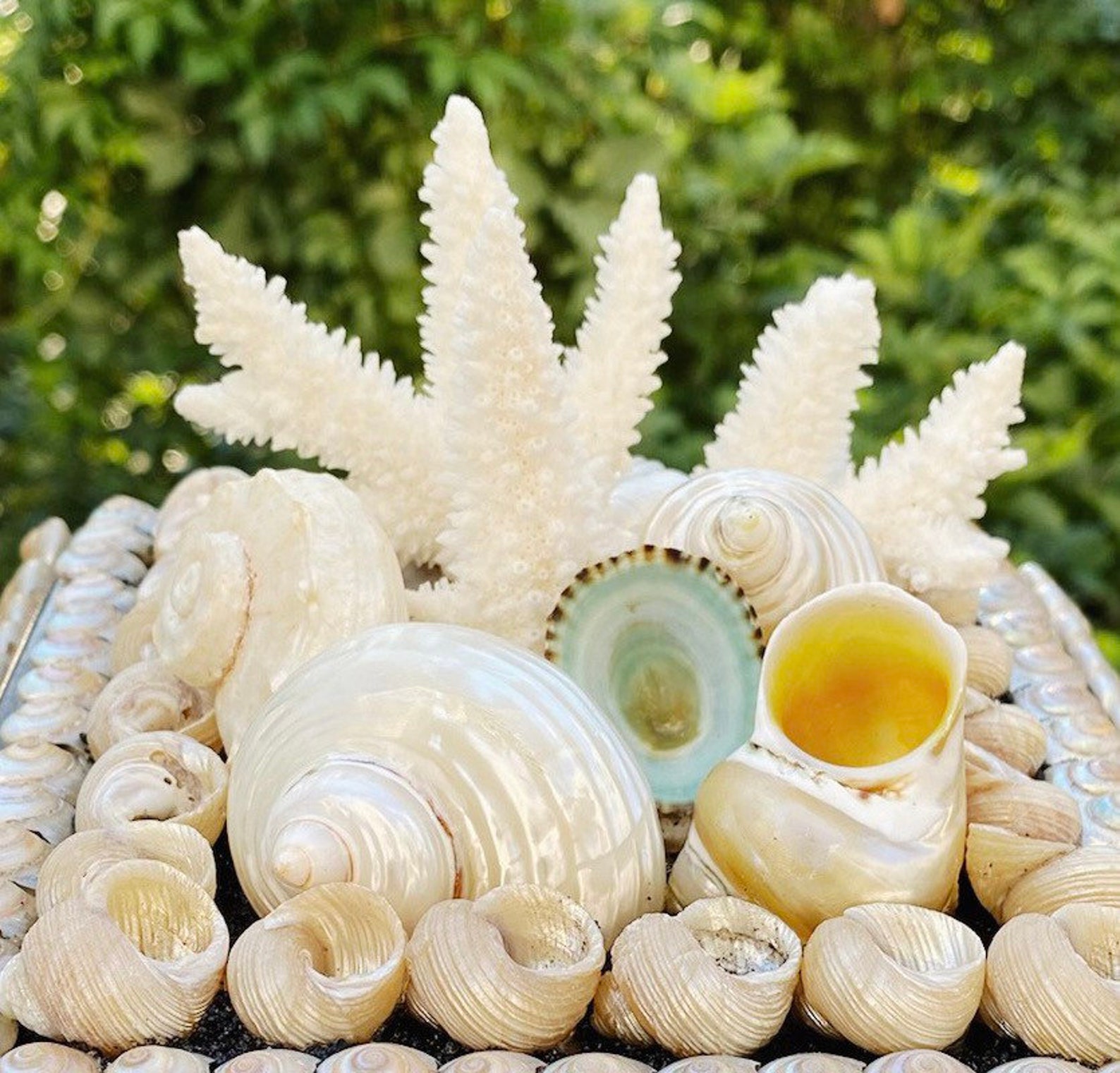 Custom Seashell Jewelry Box, Seashell Art, Decorative Box, Shell Art ...