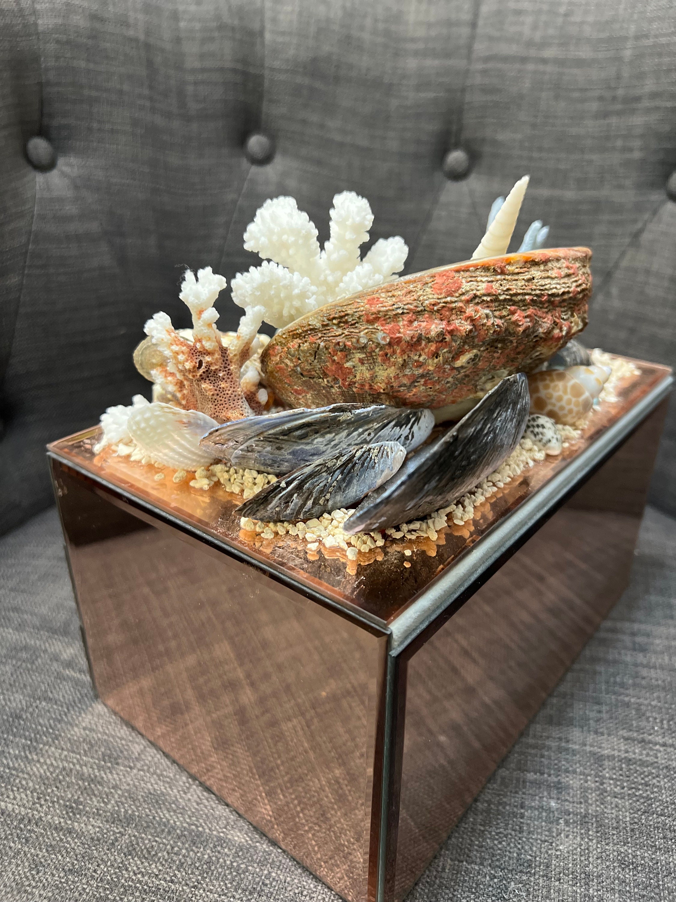 Custom Seashell Jewelry Box, Seashell Art, Decorative Box, Shell Art ...