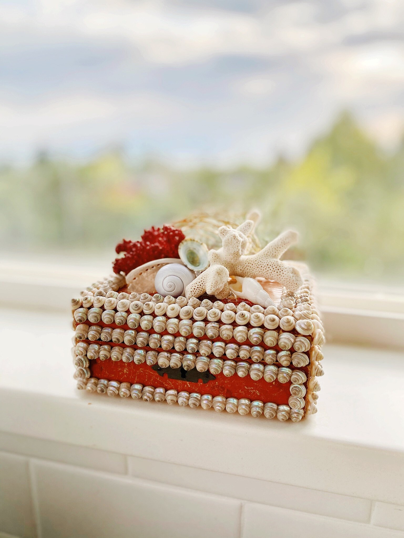 Seashell Jewelry Box, Seashell Art, Jewelry Box Drawers, Shell Art ...