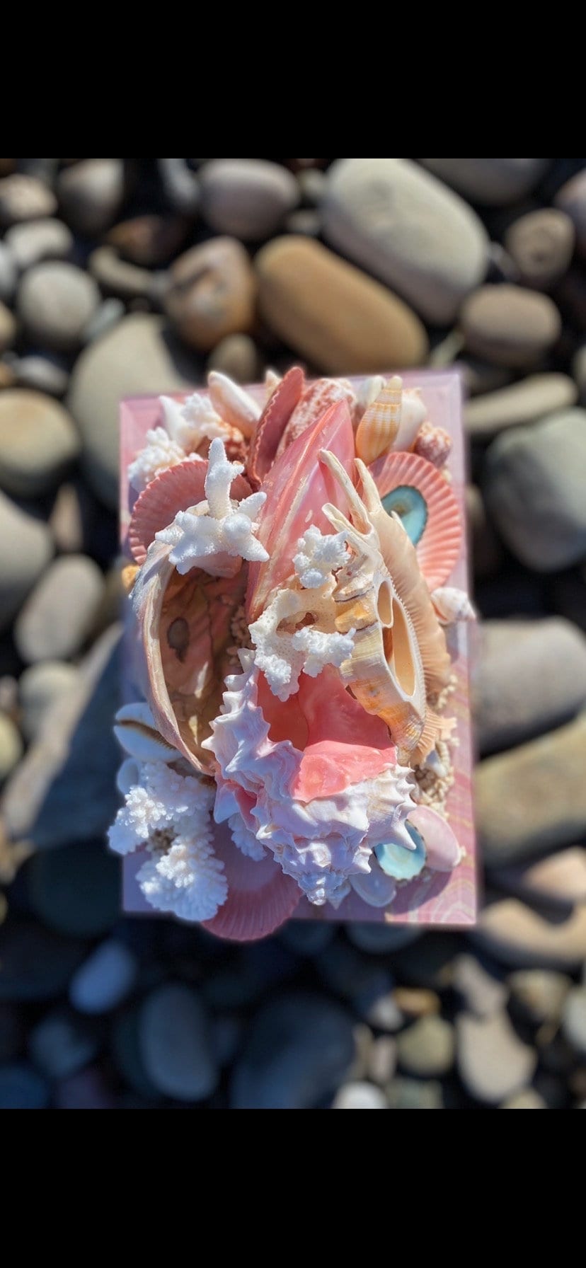 Custom Seashell Jewelry Box, Seashell Art, Decorative Box, Shell Art ...