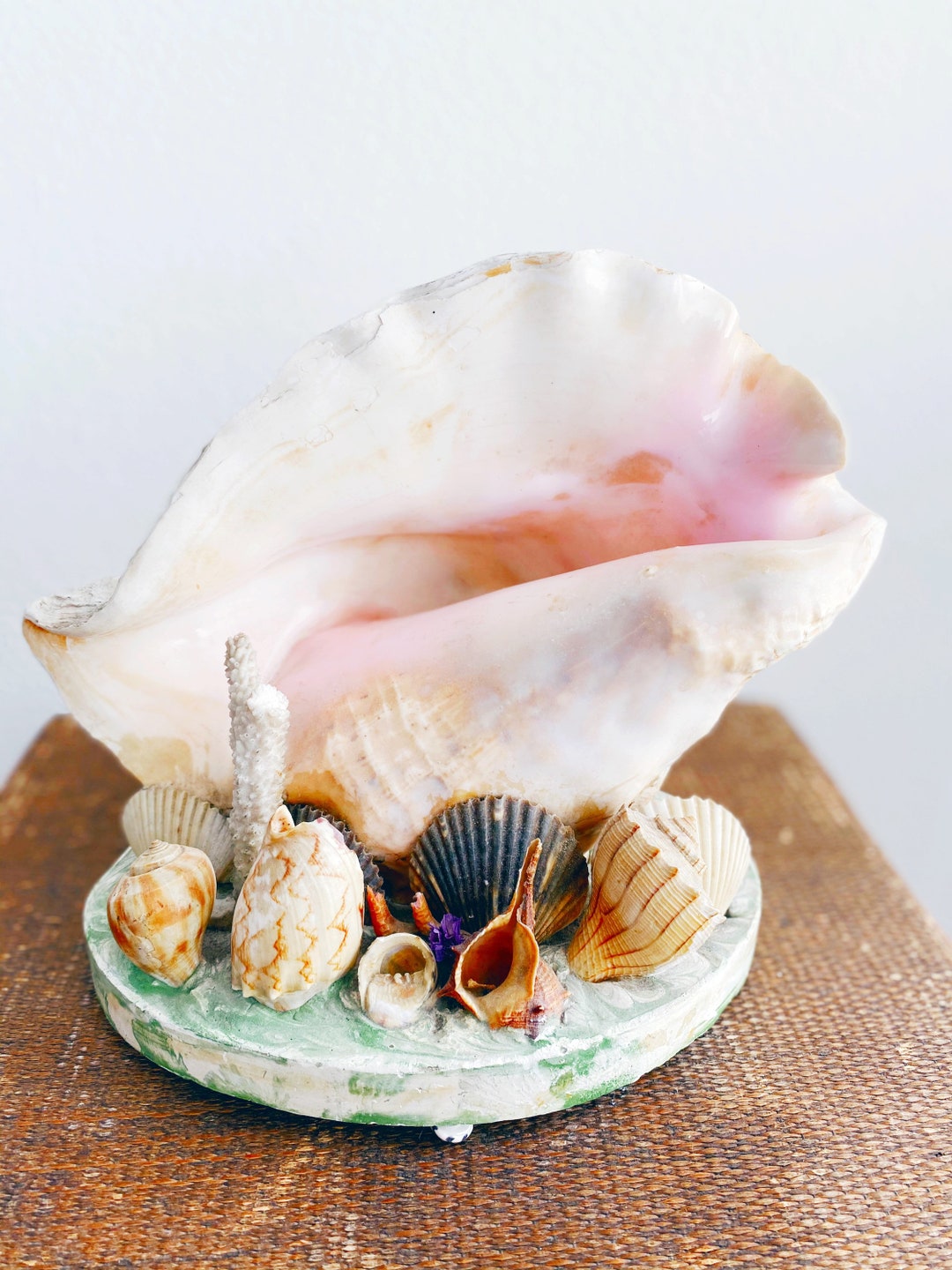 Seashell Centerpiece - Seashell Lamp - Seashell Art - Entryway Art ...