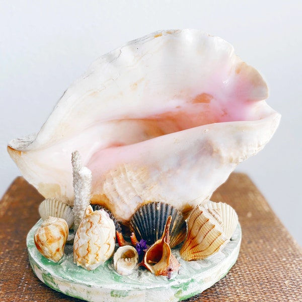 Seashell Centerpiece - Etsy