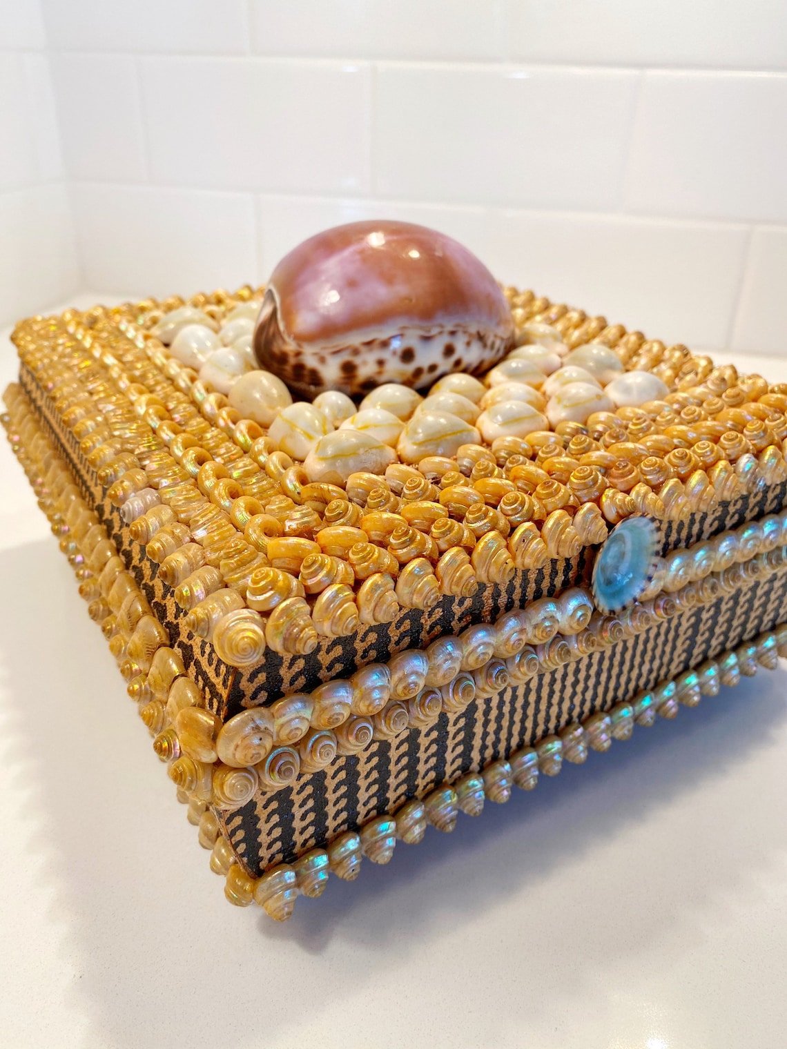 Seashell Jewelry Box, Seashell Art, Decorative Box, Shell Art, Coastal ...