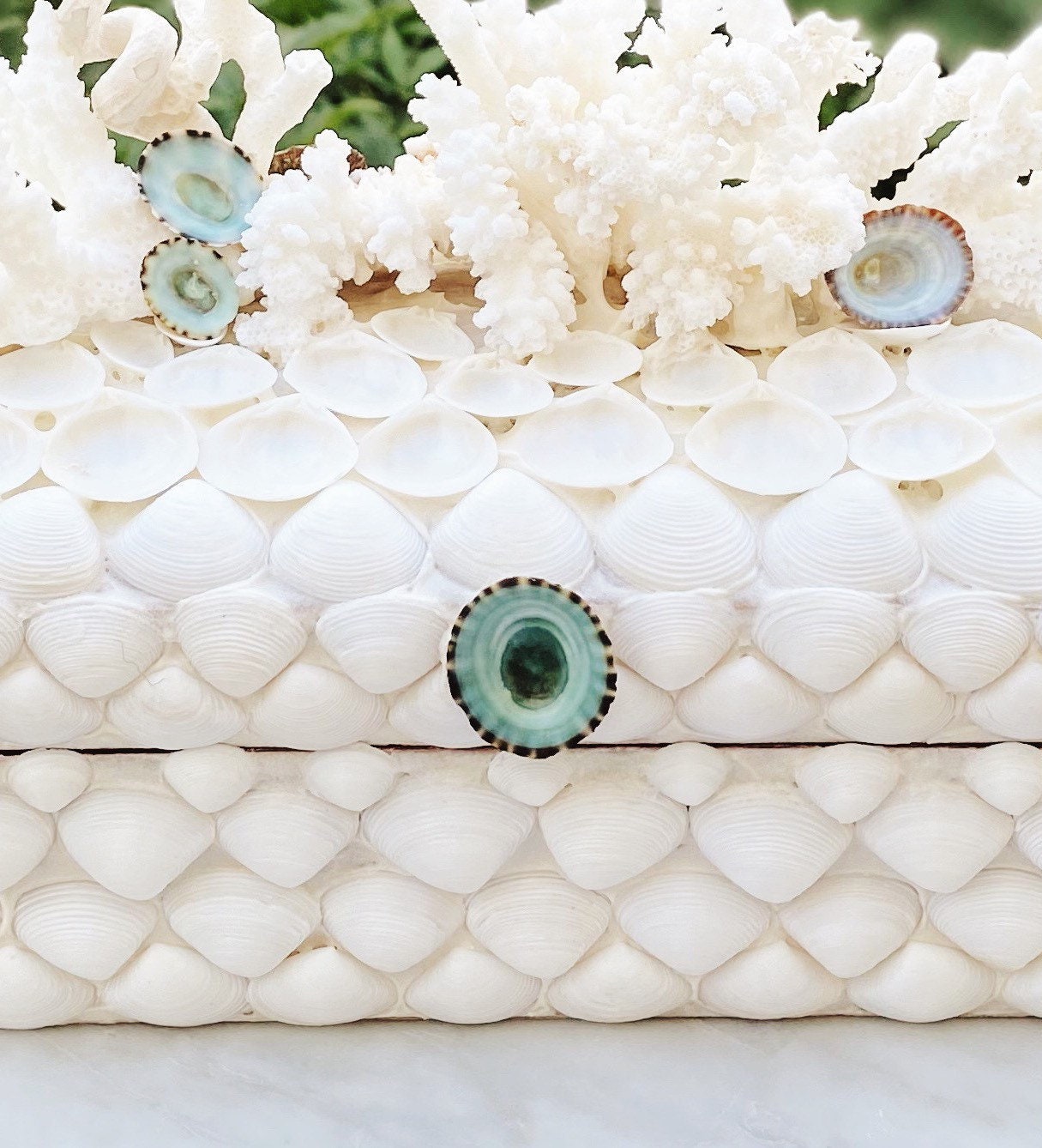 Custom Seashell Jewelry Box Seashell Art Decorative Box - Etsy