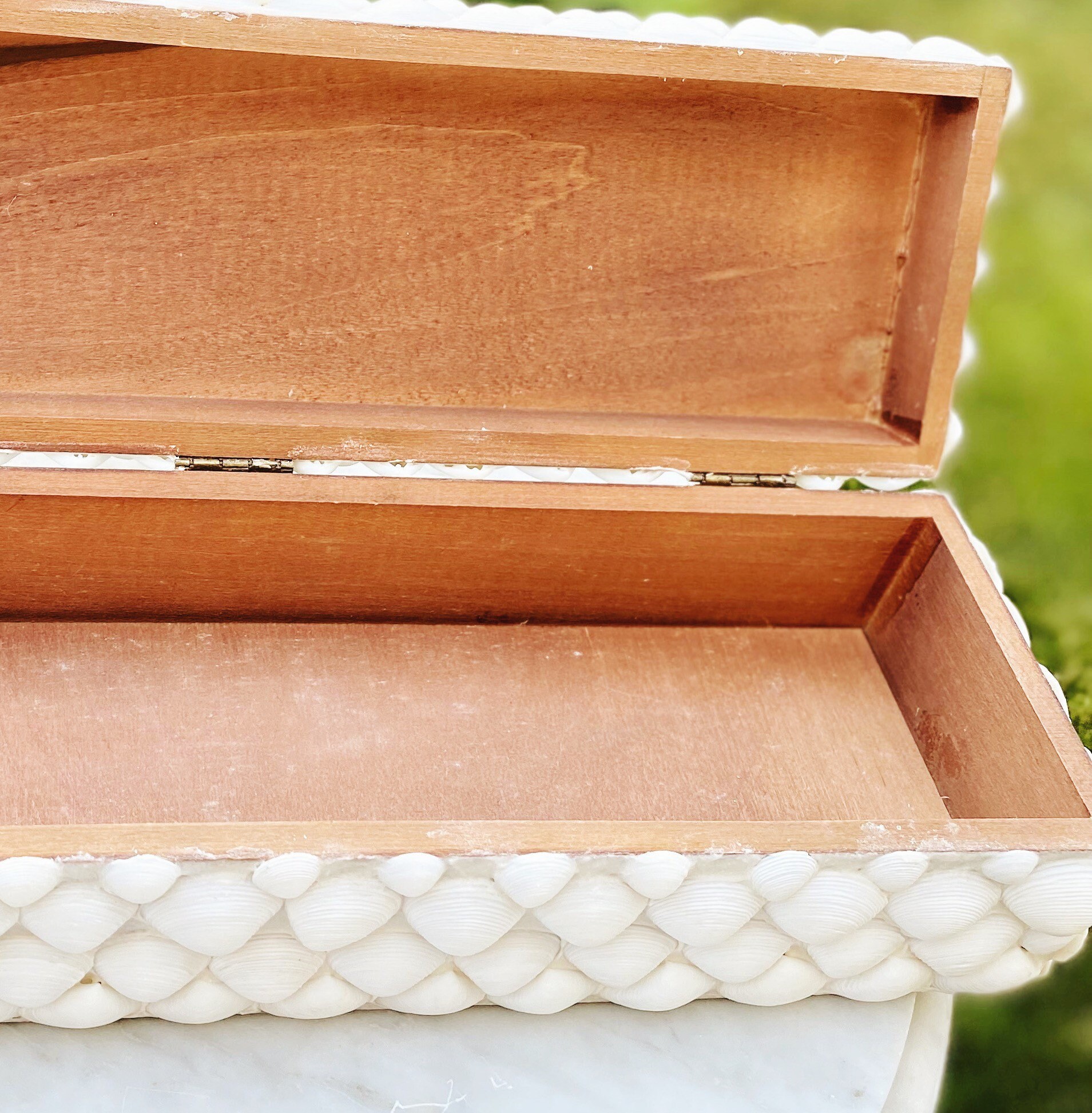 Custom Seashell Jewelry Box Seashell Art Decorative Box - Etsy