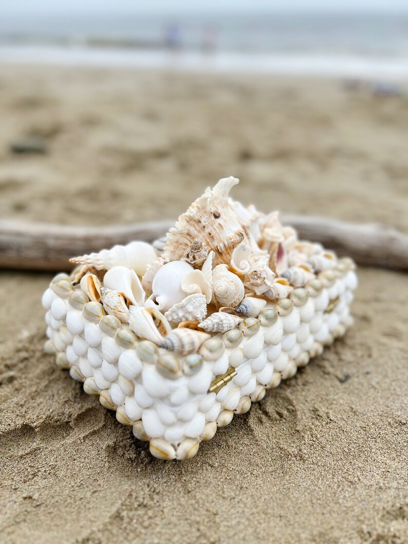 Custom Seashell Jewelry Box, Seashell Art, Decorative Box, Shell Art ...