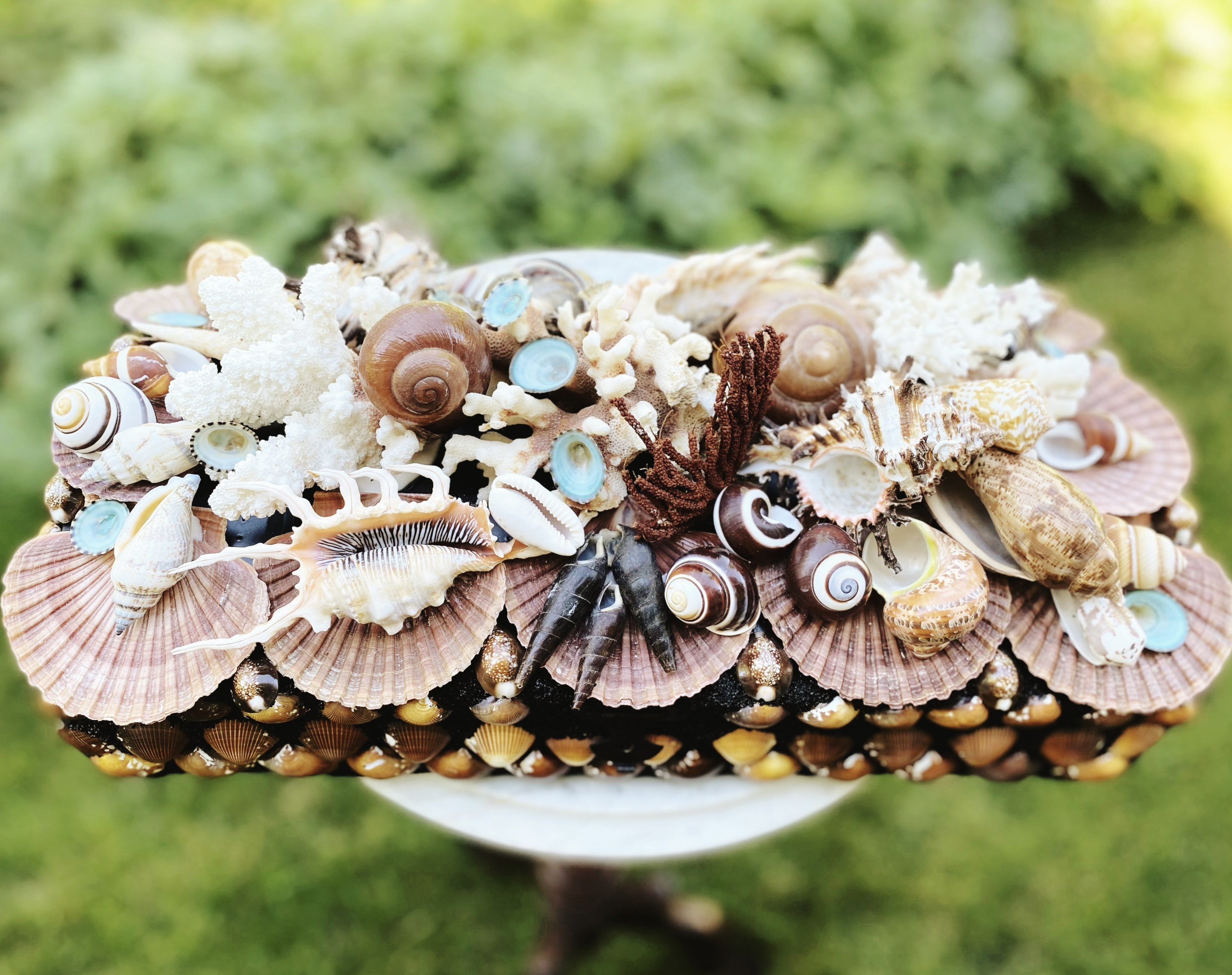Custom Seashell Jewelry Box, Seashell Art, Decorative Box, Shell Art ...