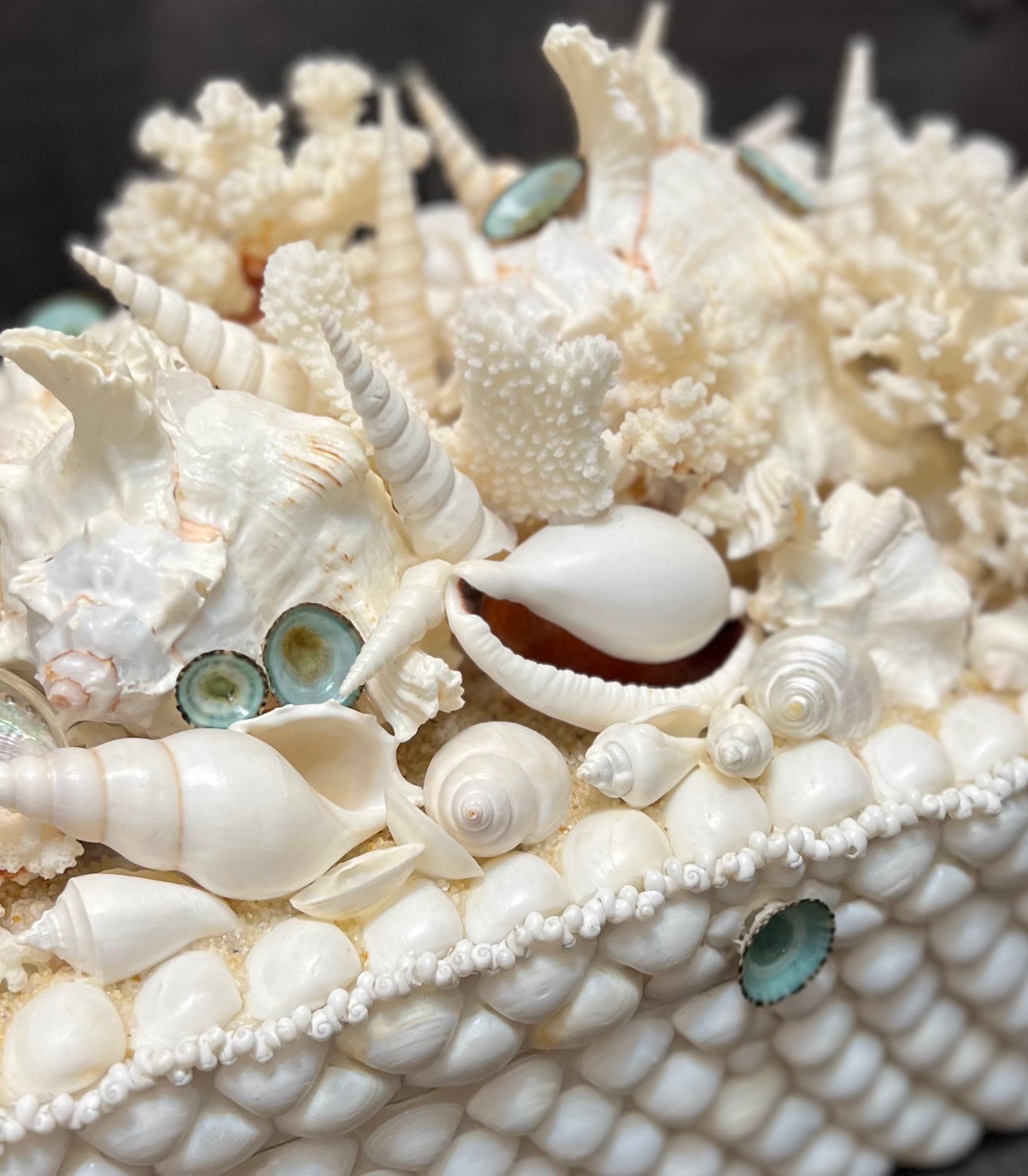 Custom Seashell Jewelry Box, Seashell Art, Decorative Box, Shell Art ...