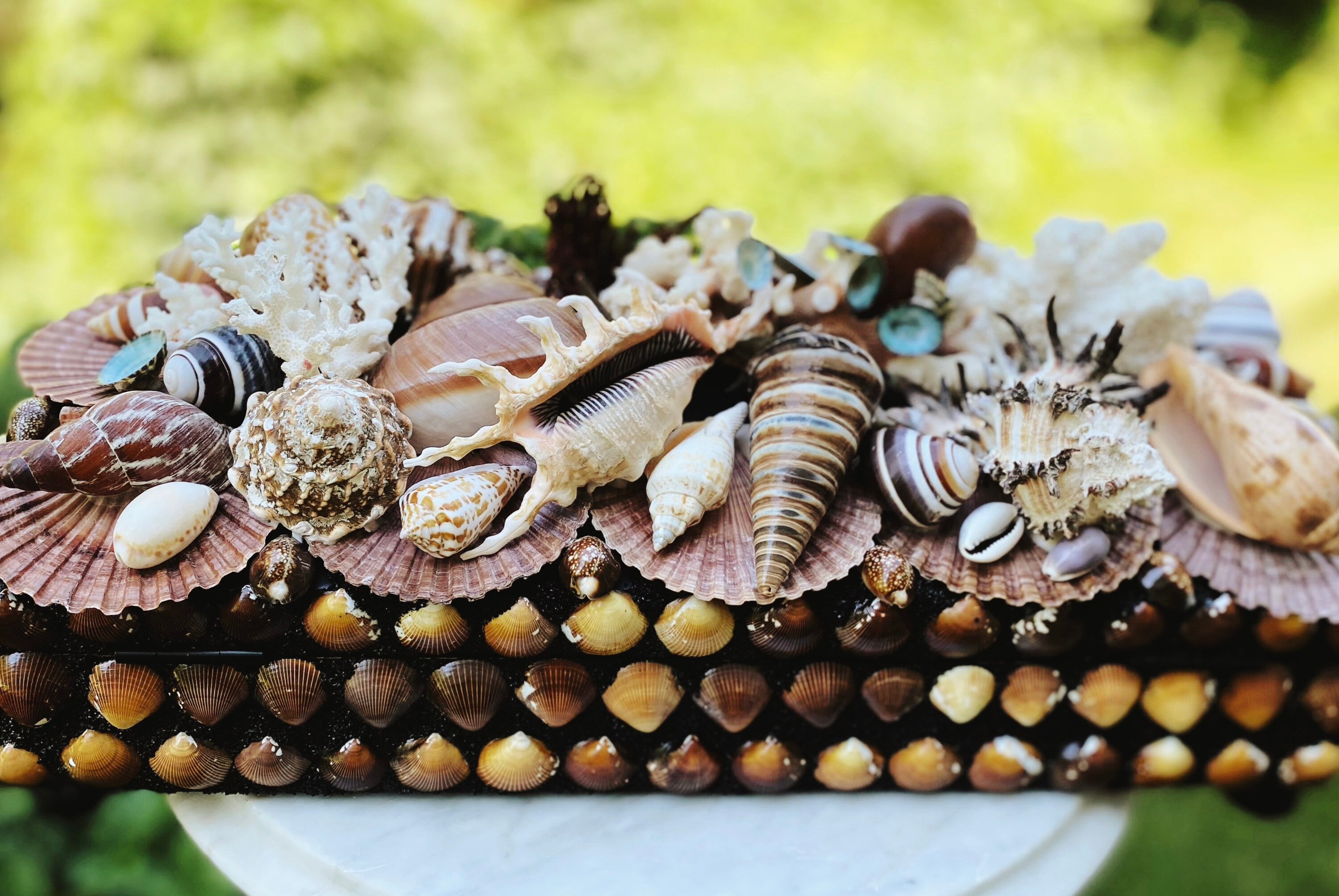 Custom Seashell Jewelry Box, Seashell Art, Decorative Box, Shell Art ...
