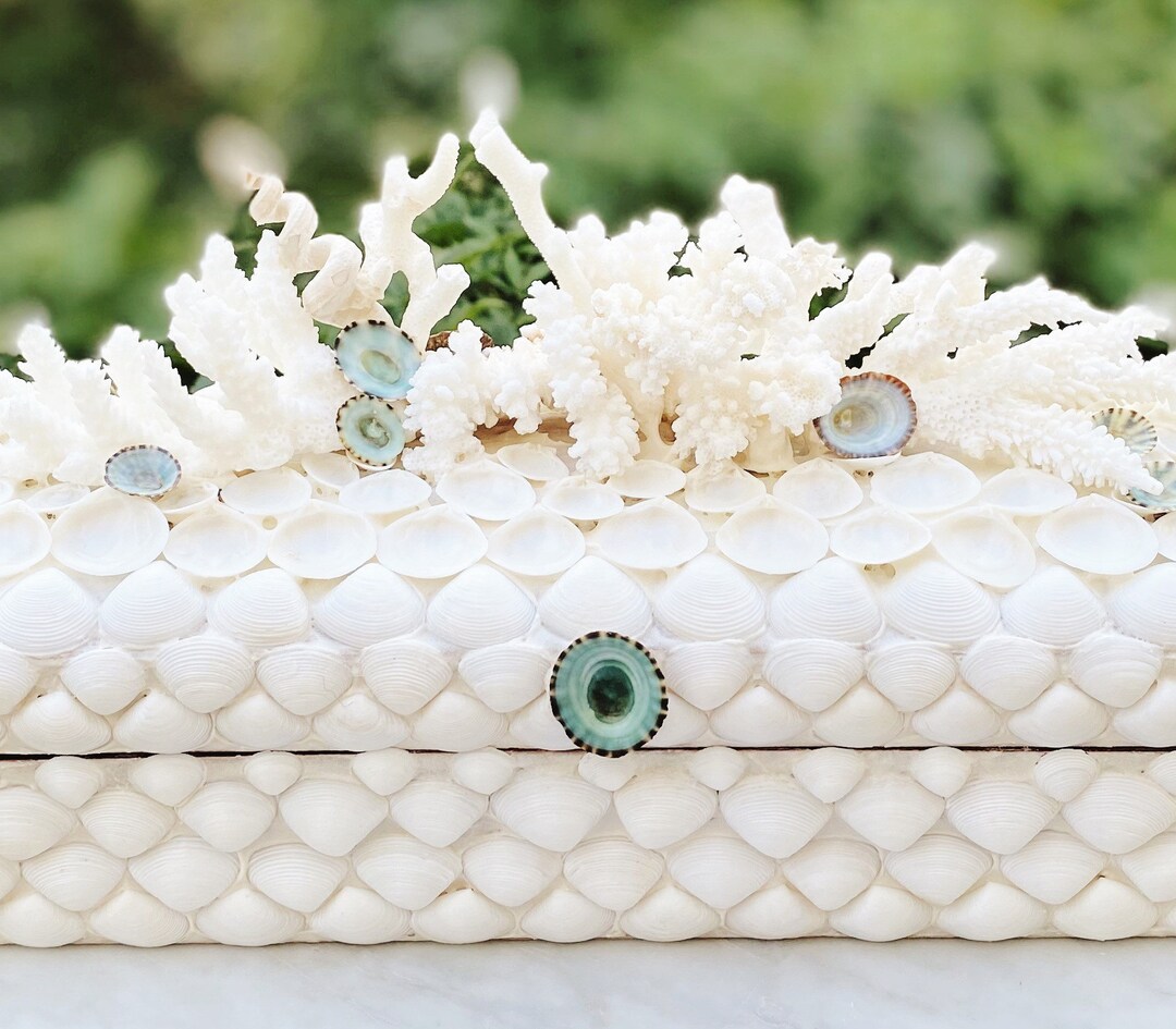 Custom Seashell Jewelry Box Seashell Art Decorative Box - Etsy