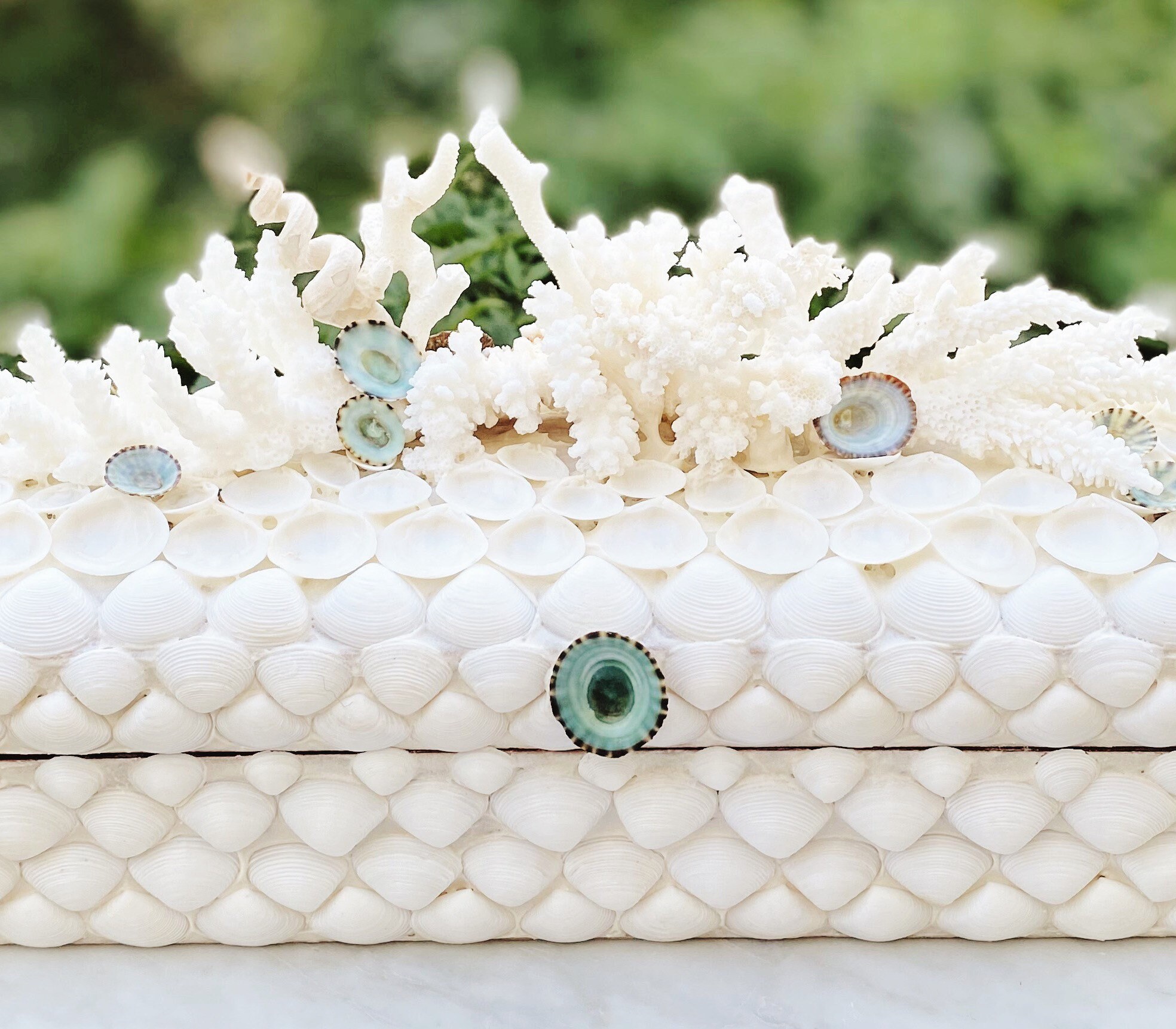 Custom Seashell Jewelry Box Seashell Art Decorative Box - Etsy