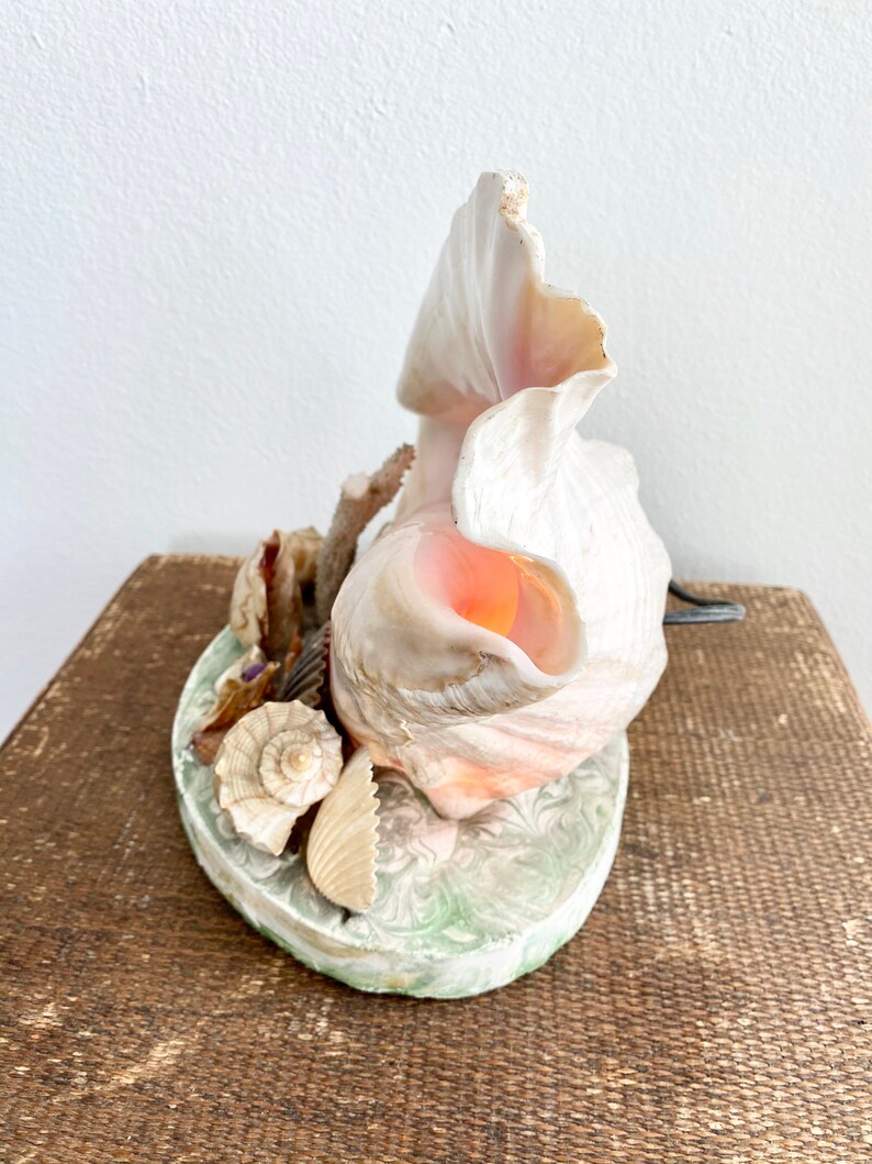 Seashell Centerpiece - Seashell Lamp - Seashell Art - Entryway Art ...