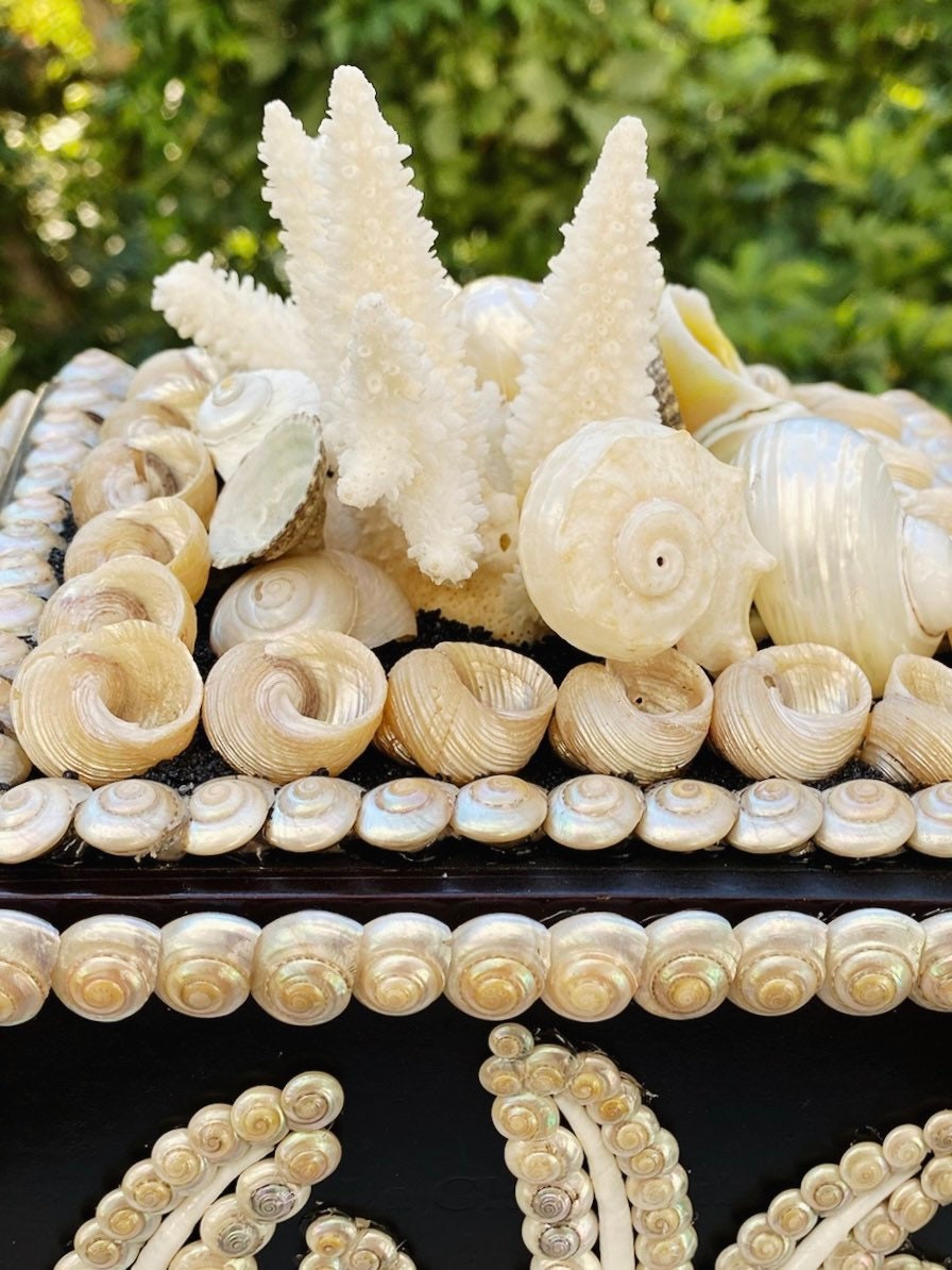Custom Seashell Jewelry Box, Seashell Art, Decorative Box, Shell Art ...