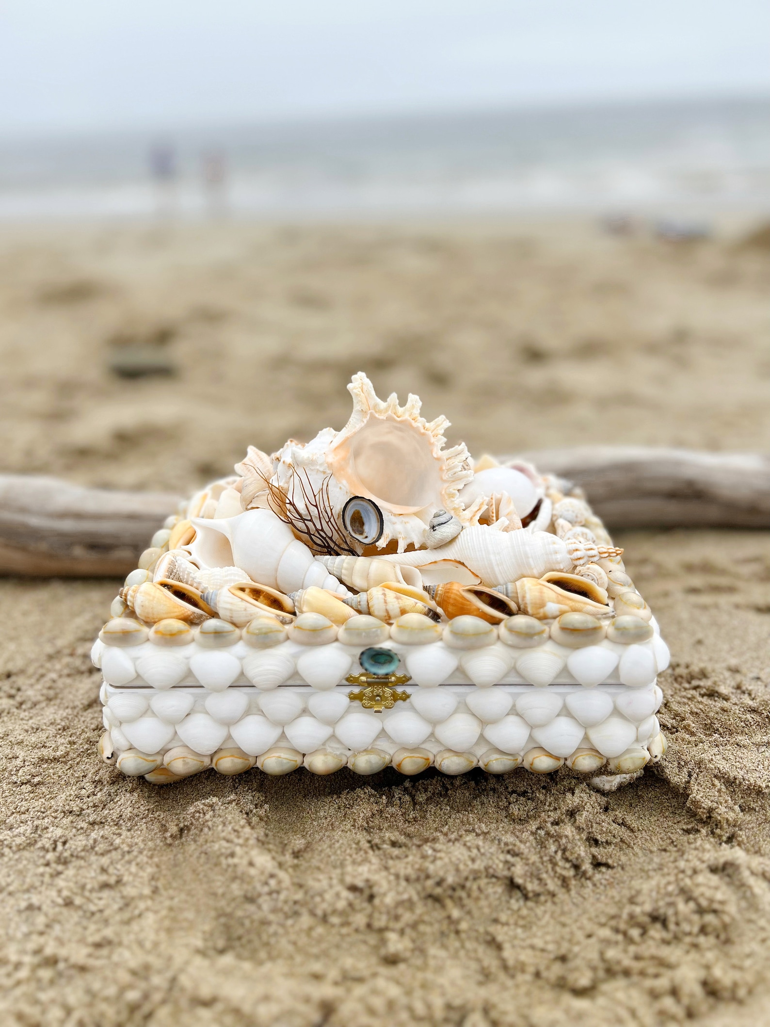 Custom Seashell Jewelry Box, Seashell Art, Decorative Box, Shell Art ...