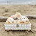 Custom Seashell Jewelry Box, Seashell Art, Decorative Box, Shell Art ...