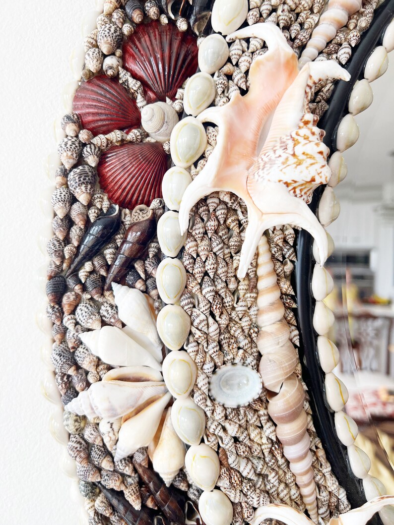 Seashell Mirror, Seashell Art, Hanging Shell Mirror, Shell Art, Coastal ...