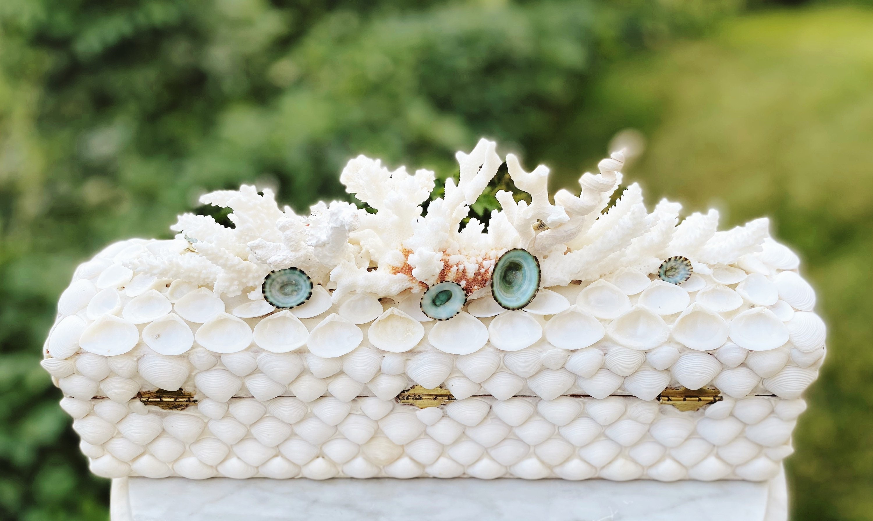 Custom Seashell Jewelry Box Seashell Art Decorative Box - Etsy