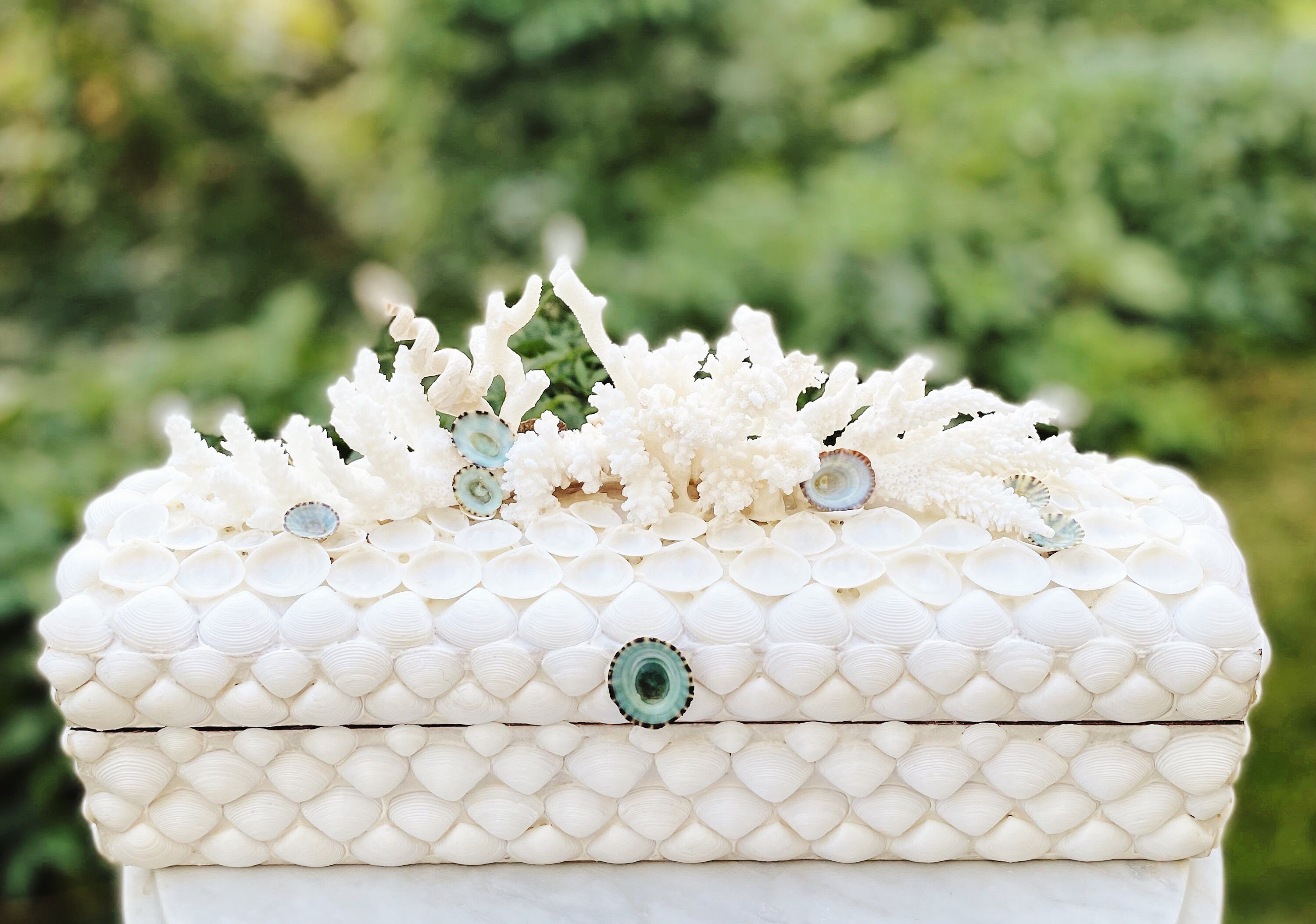 Custom Seashell Jewelry Box Seashell Art Decorative Box - Etsy