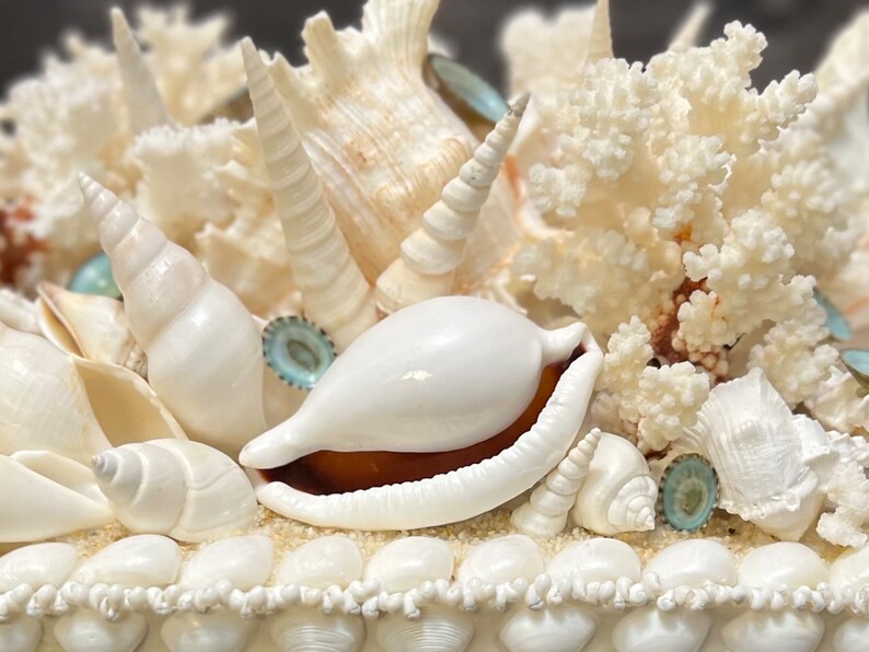 Custom Seashell Jewelry Box, Seashell Art, Decorative Box, Shell Art ...