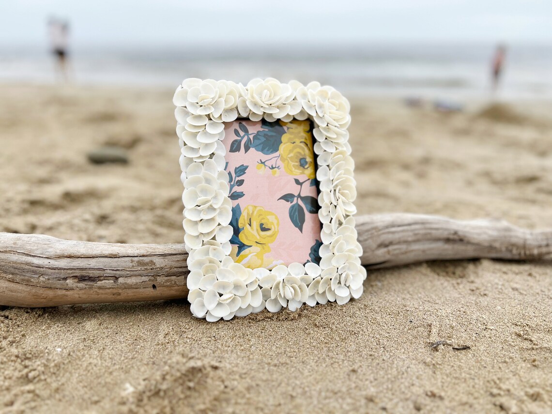 Seashell Picture Frames, Seashell Art, Decorative Shell Frame, Shell ...