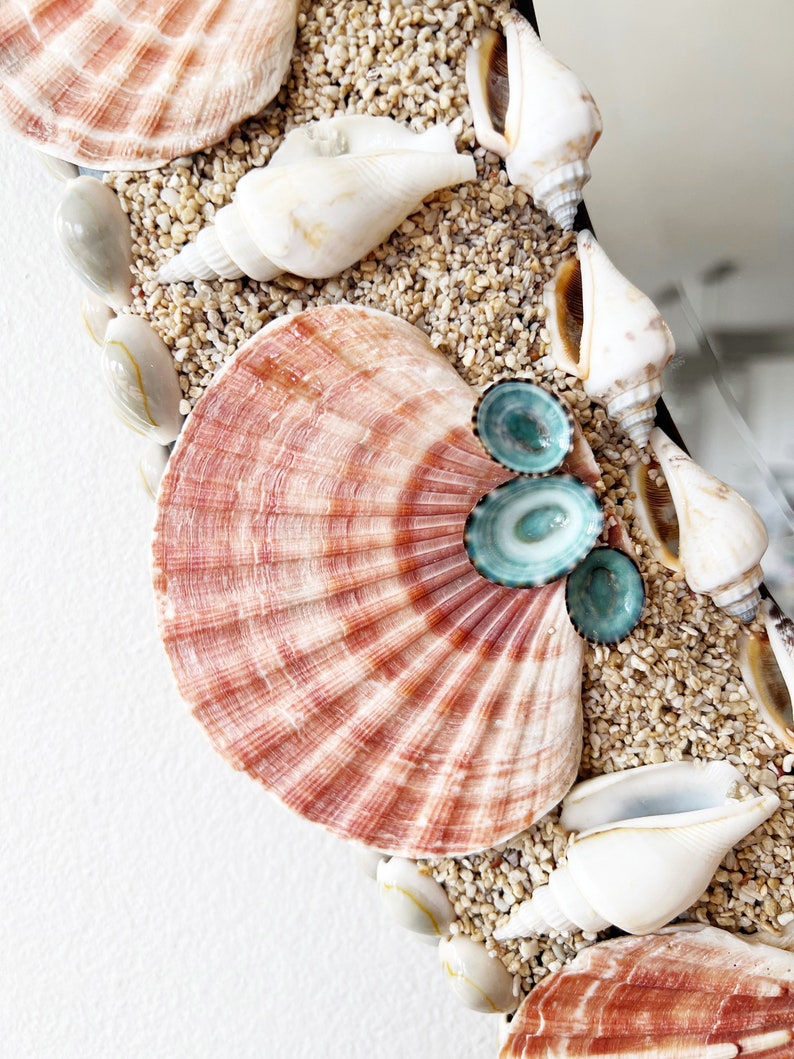 Seashell Mirror Seashell Art Hanging Shell Mirror Shell | Etsy