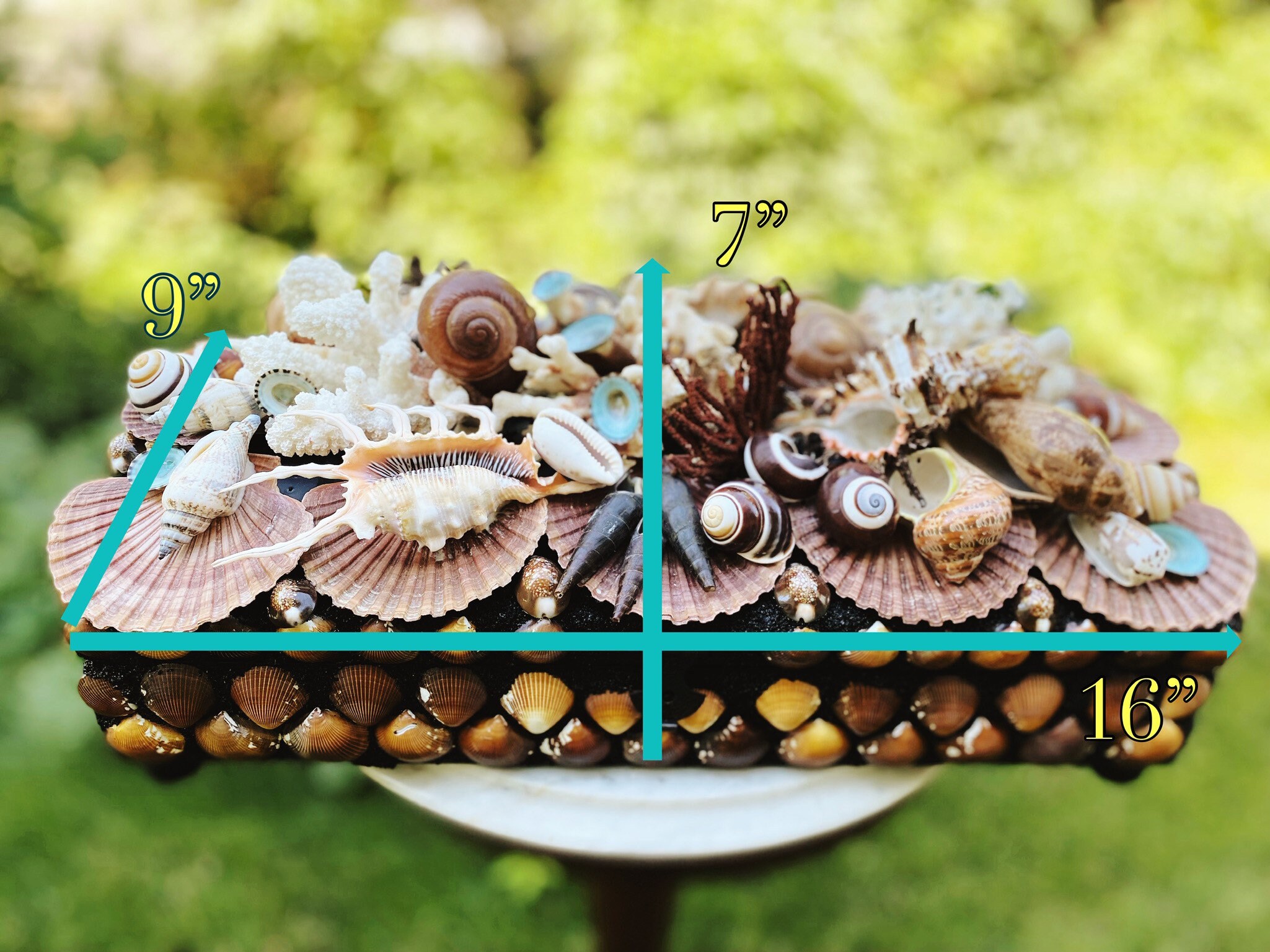 Custom Seashell Jewelry Box, Seashell Art, Decorative Box, Shell Art ...