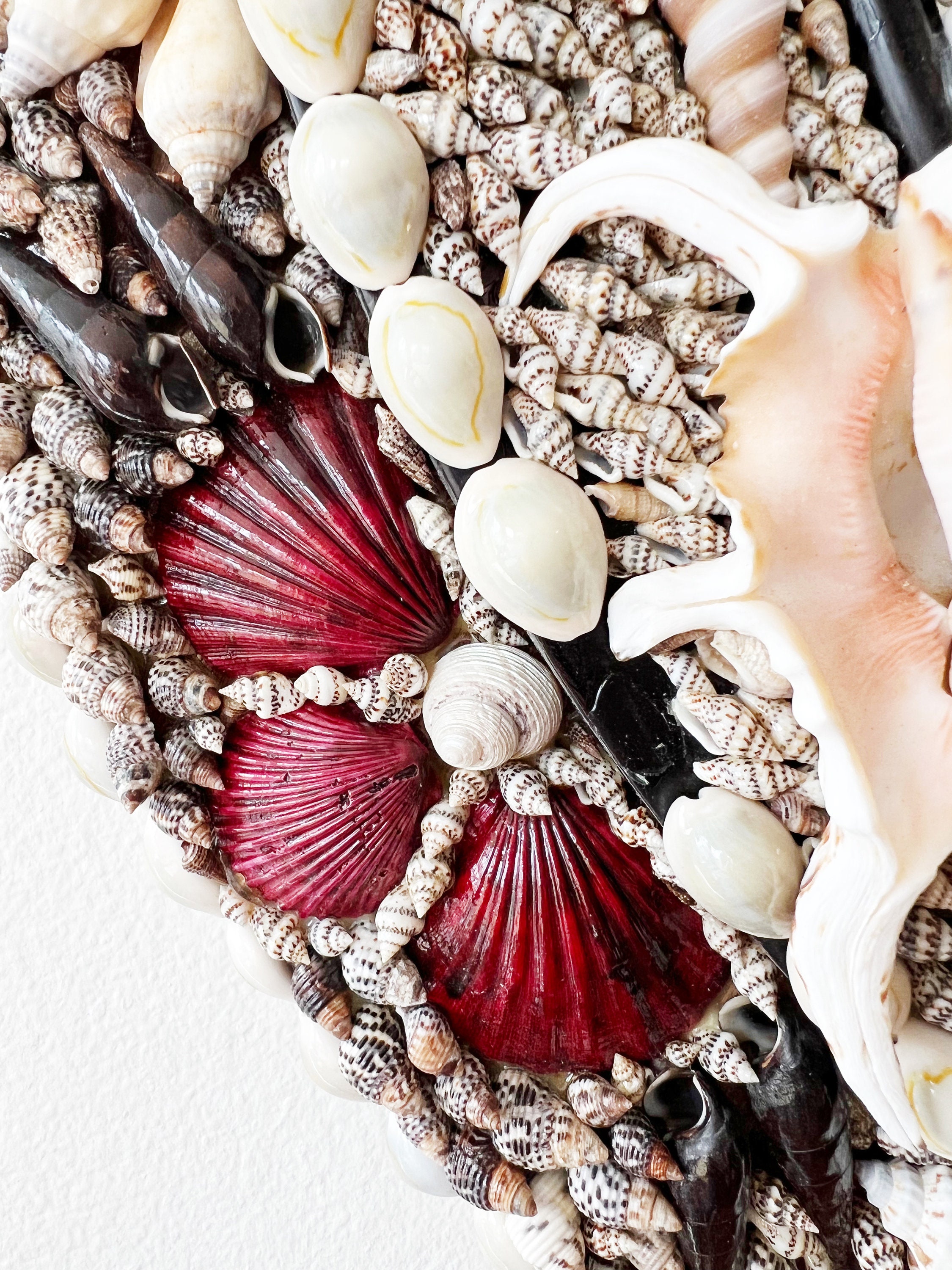 Seashell Mirror, Seashell Art, Hanging Shell Mirror, Shell Art, Coastal ...