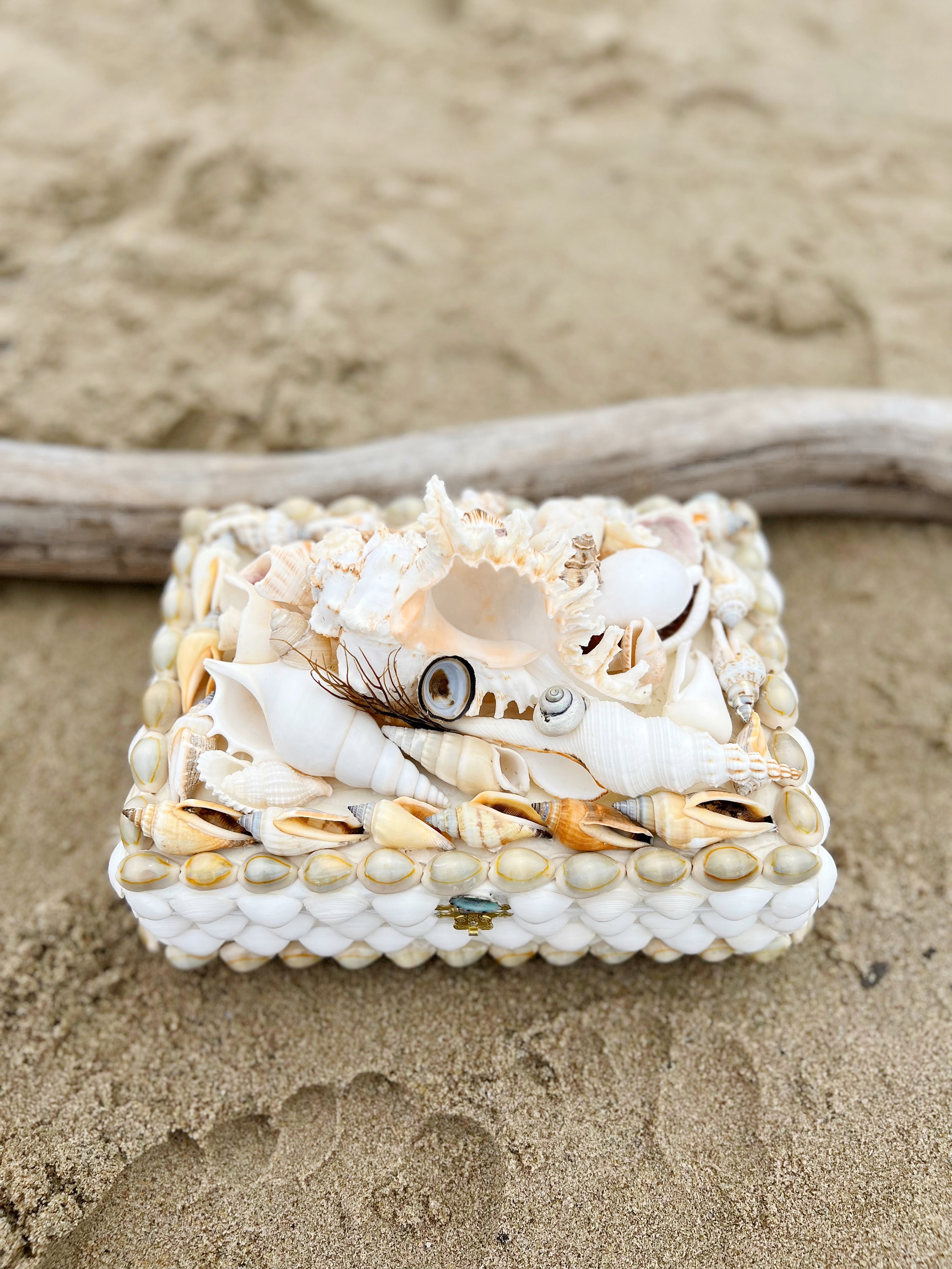 Custom Seashell Jewelry Box, Seashell Art, Decorative Box, Shell Art ...