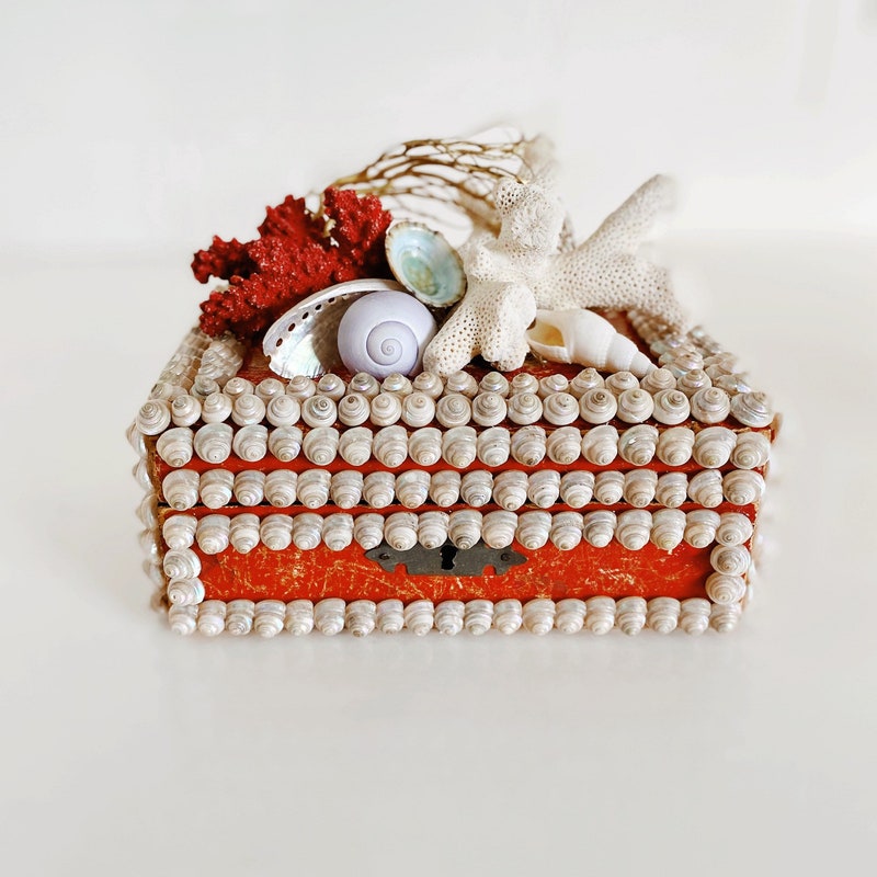 Seashell Jewelry Box - Etsy