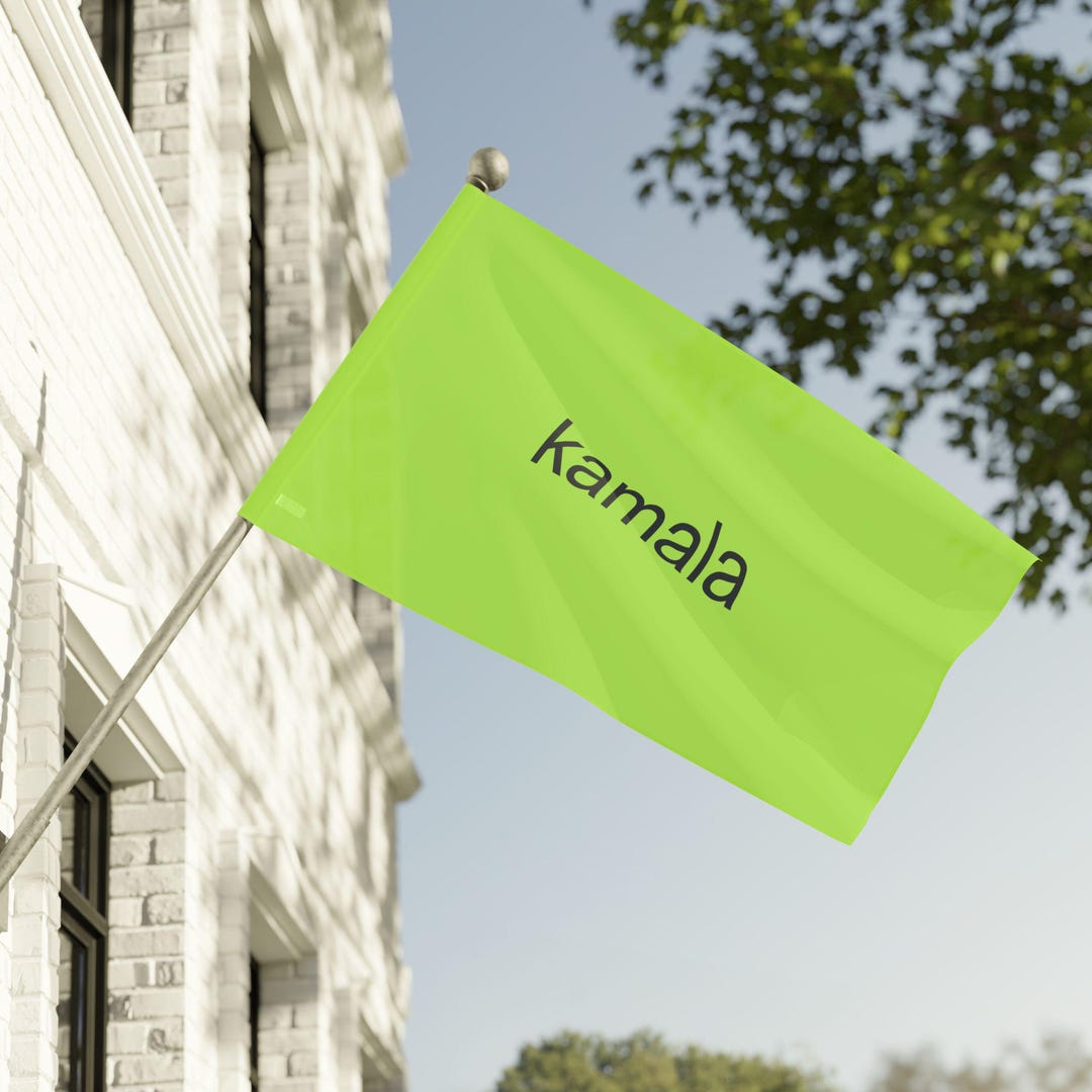 Kamala Harris Brat Flag, Harris 2024, Kamala is Brat, Brat Summer ...