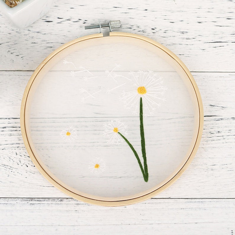 Plant Transparent Embroidery Kit for Beginner Hand Embroidery - Etsy