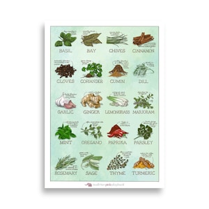 Hand-drawn Poster - Herbs + Spices - Etsy