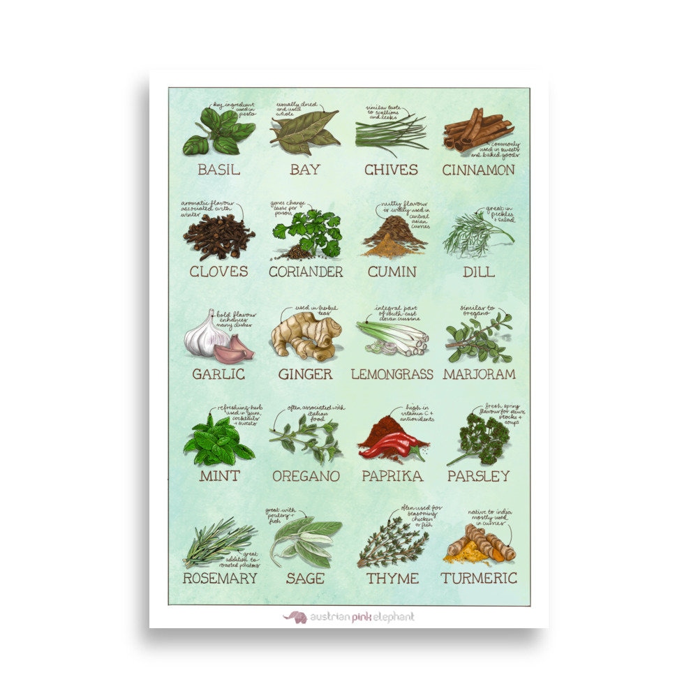 Hand-drawn Poster - Herbs + Spices - Etsy