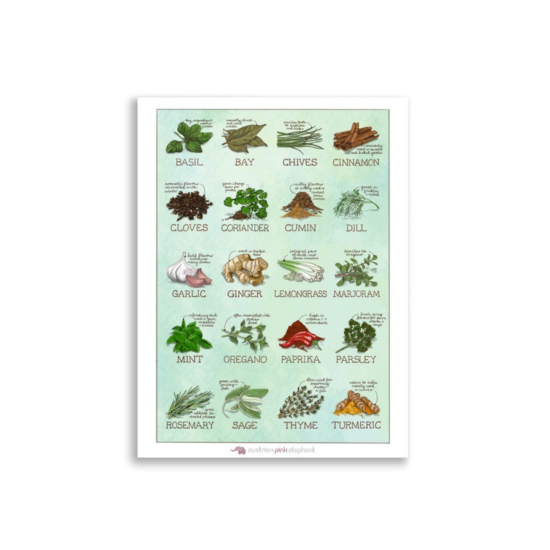 Hand-drawn Poster - Herbs + Spices - Etsy