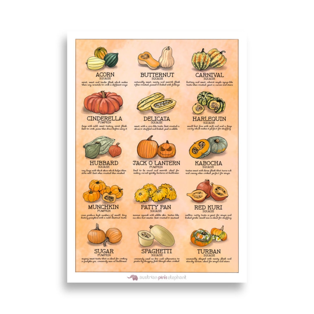 Hand-drawn Poster - Squashes - Etsy