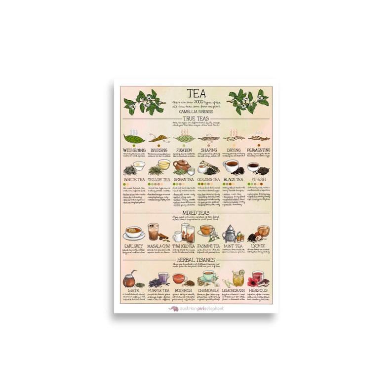 Hand-drawn Poster - All About Tea! - Etsy