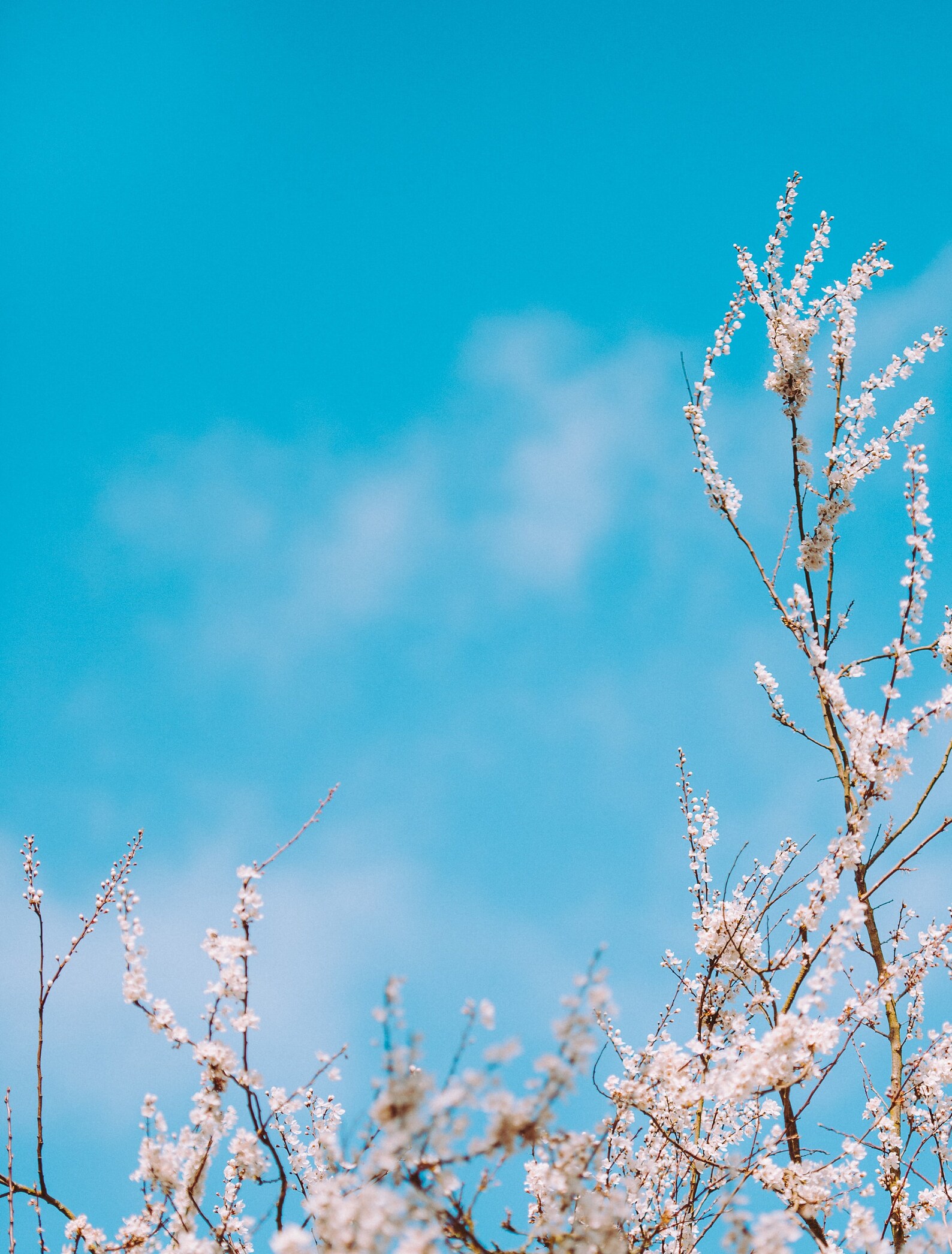 Instant 60 Piece Blue Aesthetic Dream VSCO Wall Decor Collage Kit ...