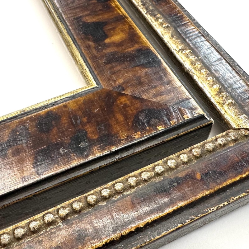 Framed Vintage Shells - Etsy