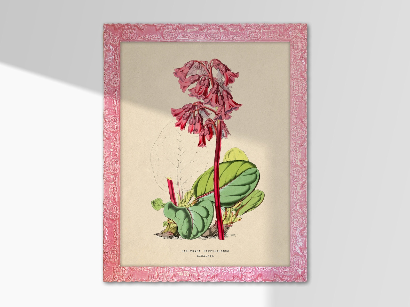 Victorian Picture Frames Pink Purple Glossy Lacquer Ornate - Etsy