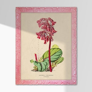 Victorian Picture Frames Pink Purple Glossy Lacquer Ornate Funky ...