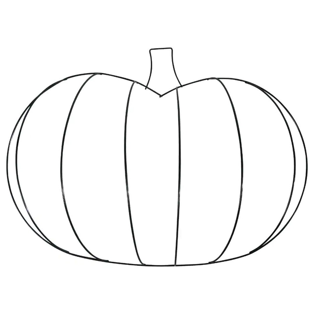 2 Pack PUMPKIN WIRE FORM Pumpkin Wreath Frame 3-D Pumpkin - Etsy