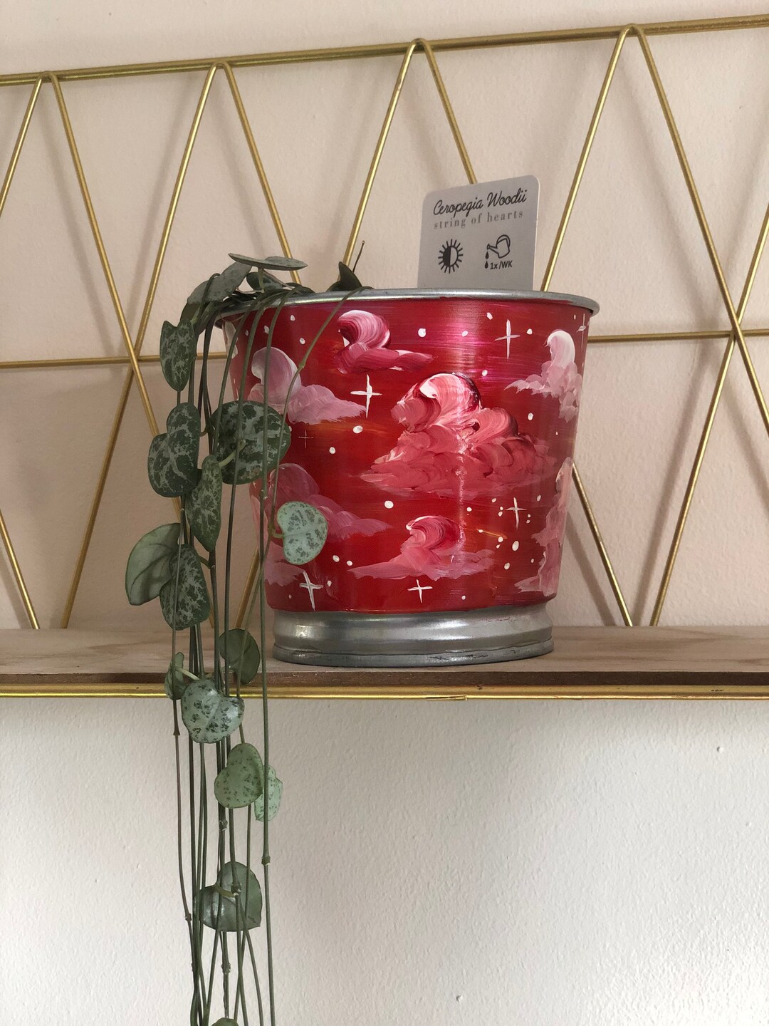 Red Plant Pot Hand Painted Sky/ Clouds - Etsy