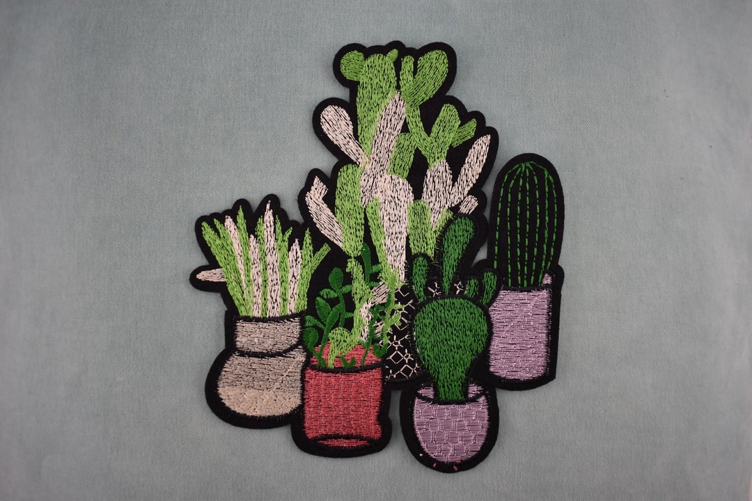 Large Succulent Plant Pot Patch 18.5 Cm / 16 Cm, Cactus Bouquet Patch ...