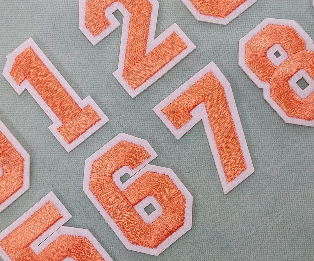 Salmon Number Patches, Iron-on Embroidered Number Patches, to Customize ...