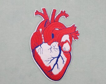 Large Patch Anatomy - Etsy