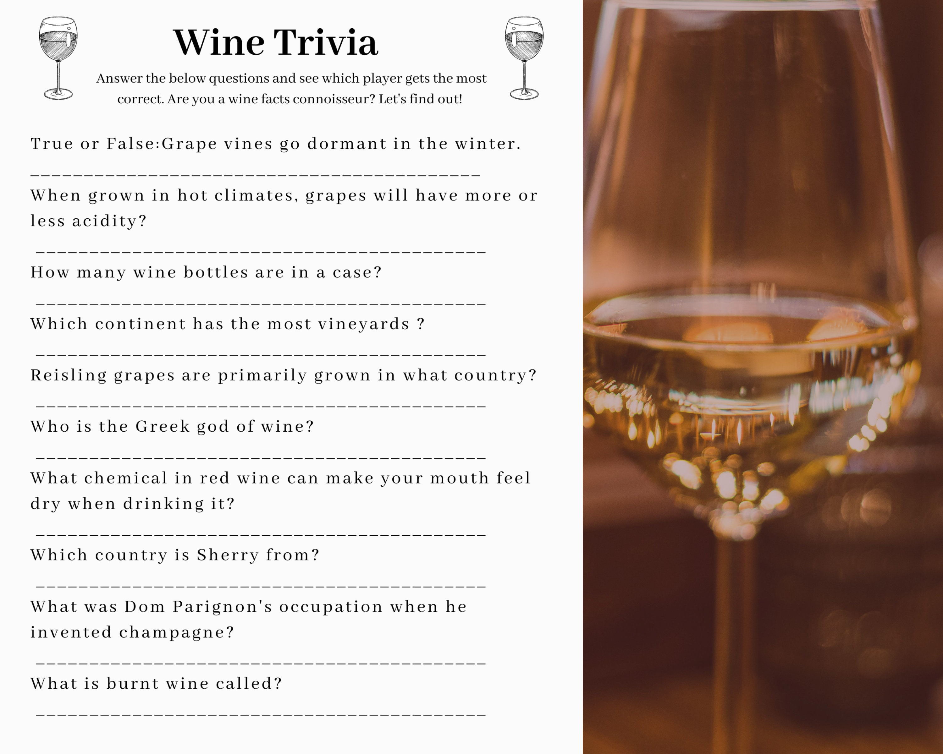 Wine Trivia Game • Vineyard Game • Wine Themed Party Games • Vineyard ...