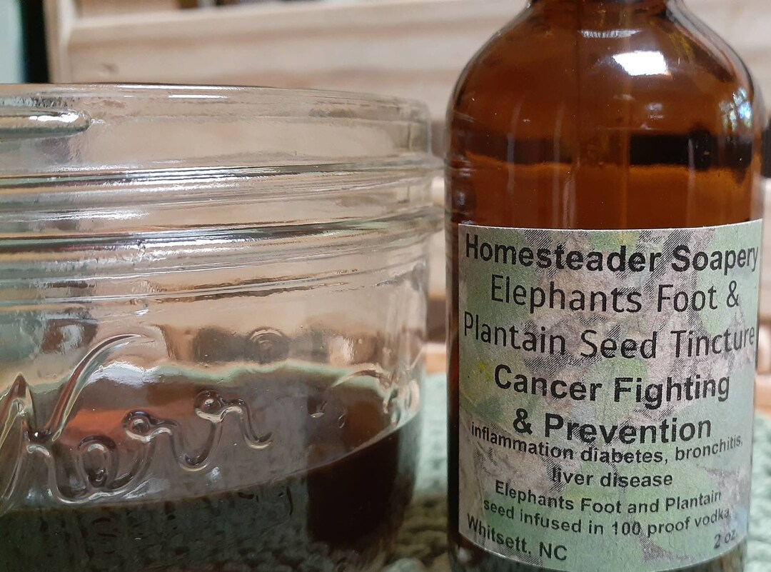 Elephants Foot and Plantain Seed Wildcrafted Fresh Tincture - Etsy
