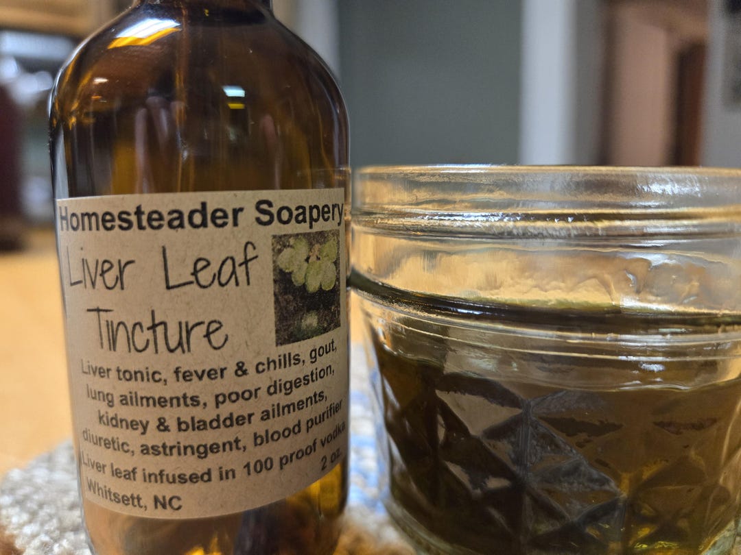 Liver Leaf Wildcrafted Tincture - Etsy
