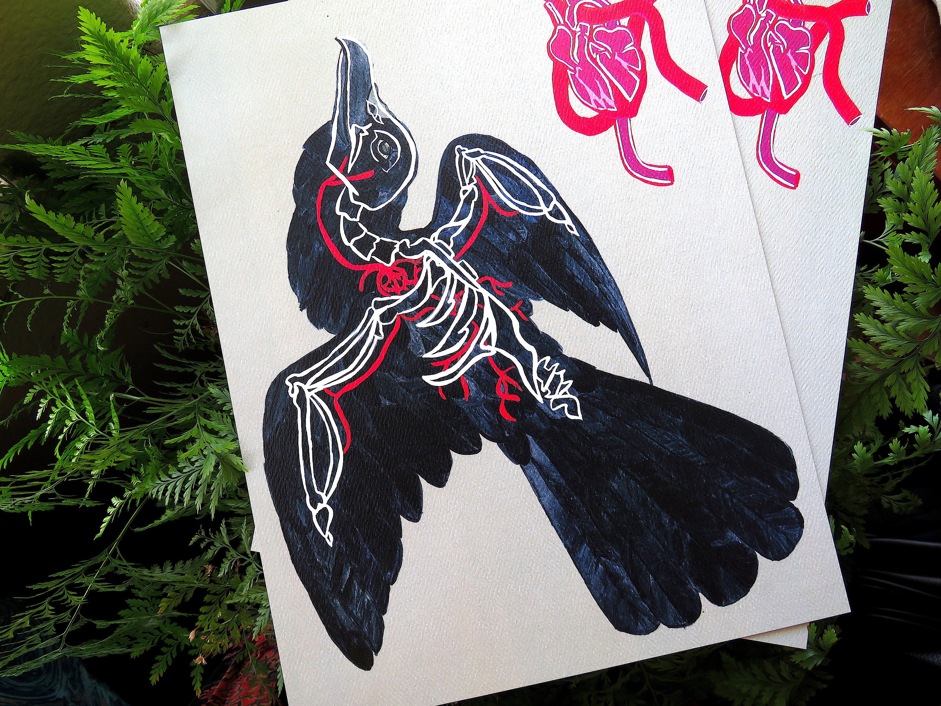 Crow Anatomy Scientific Art Print | Witchy Crow Print, Raven Anatomy ...