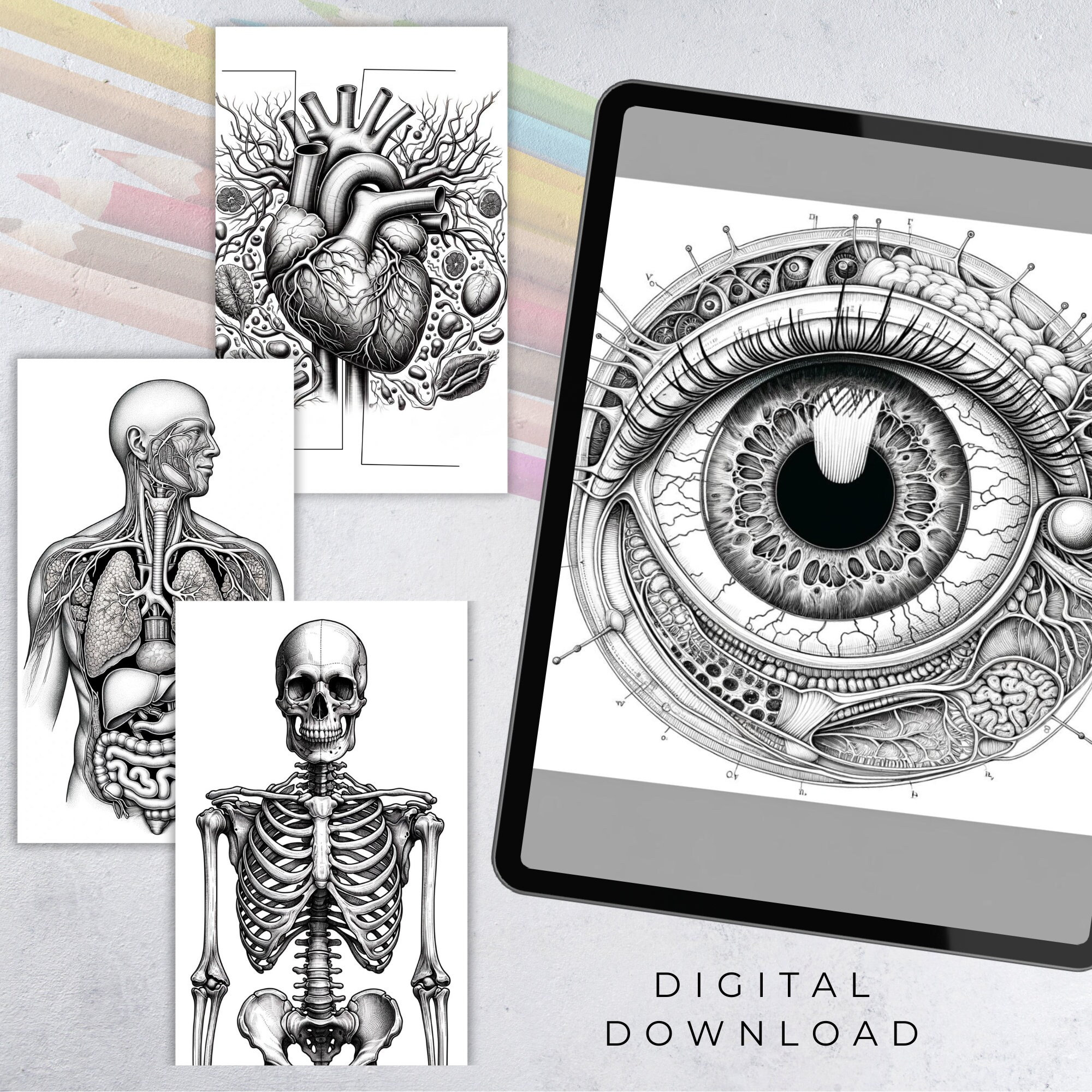 Human Anatomy Coloring Book for Adults - Printable Digital Pages - Etsy
